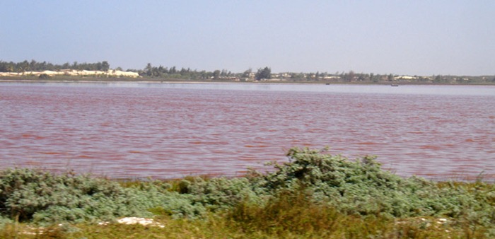 The Pink Lake at Retba, Senegal | Amusing Planet